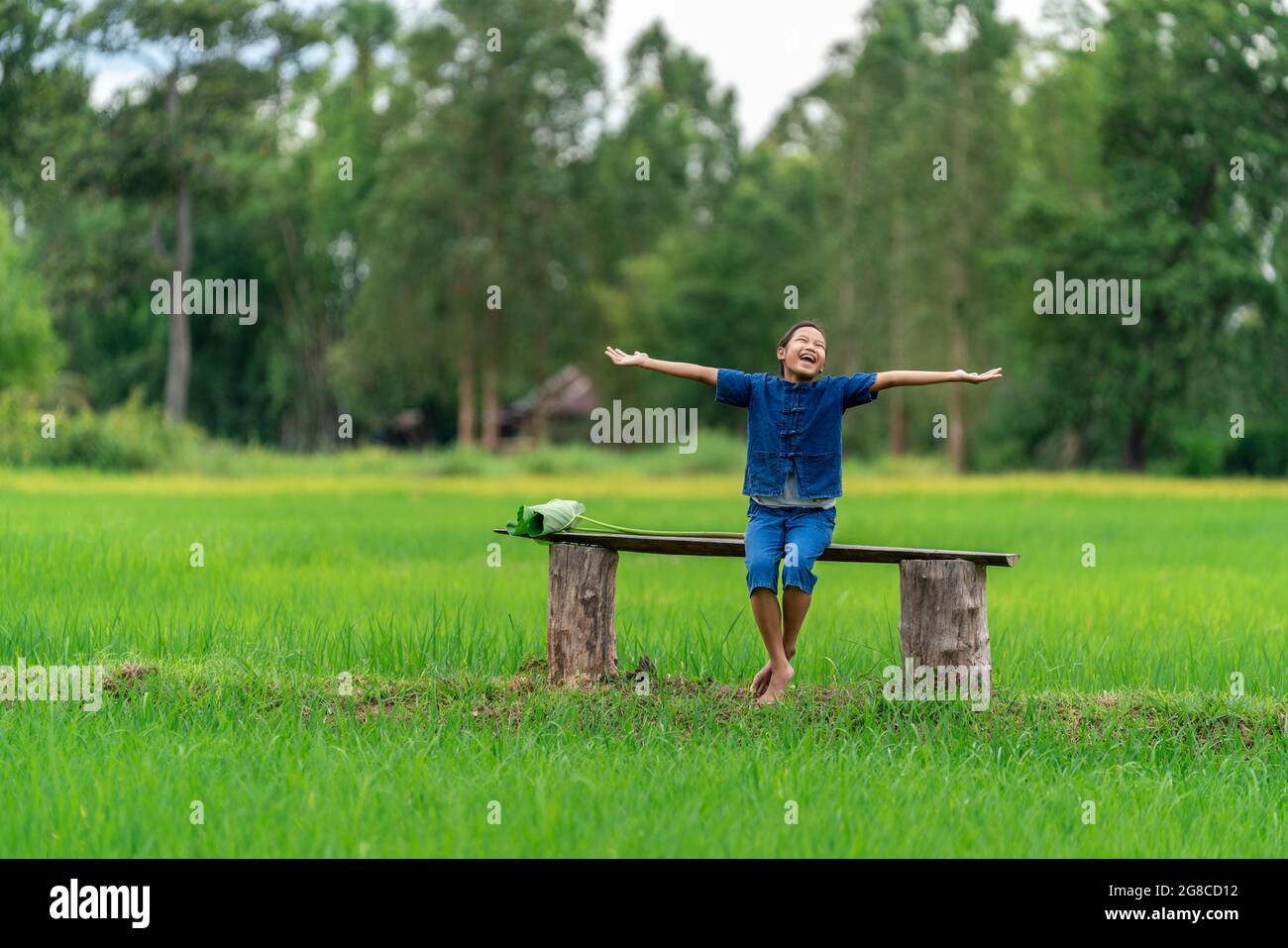 Happy little girl in rice field, countryside of Thailand Stock Photo ...