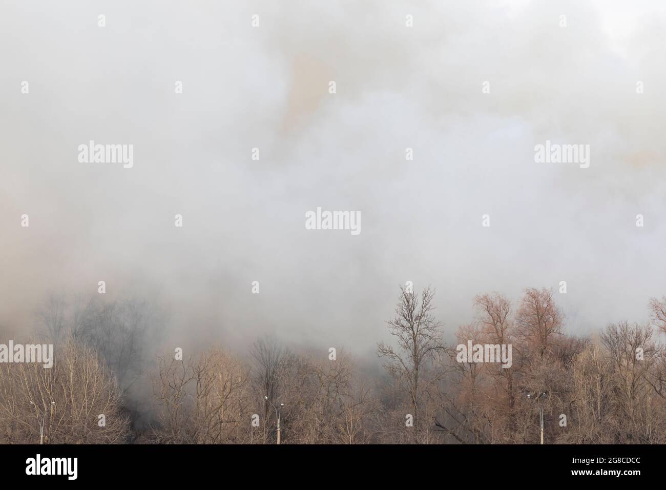 Smoke from a fire in a forest. Lighting poles along the road Stock ...