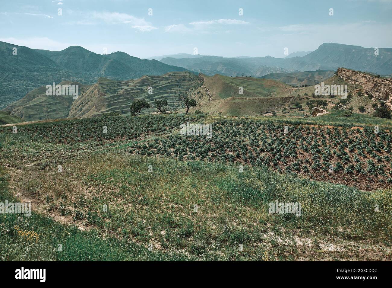 Man-made terraces of the village Chokh., big mountain formation in the ...