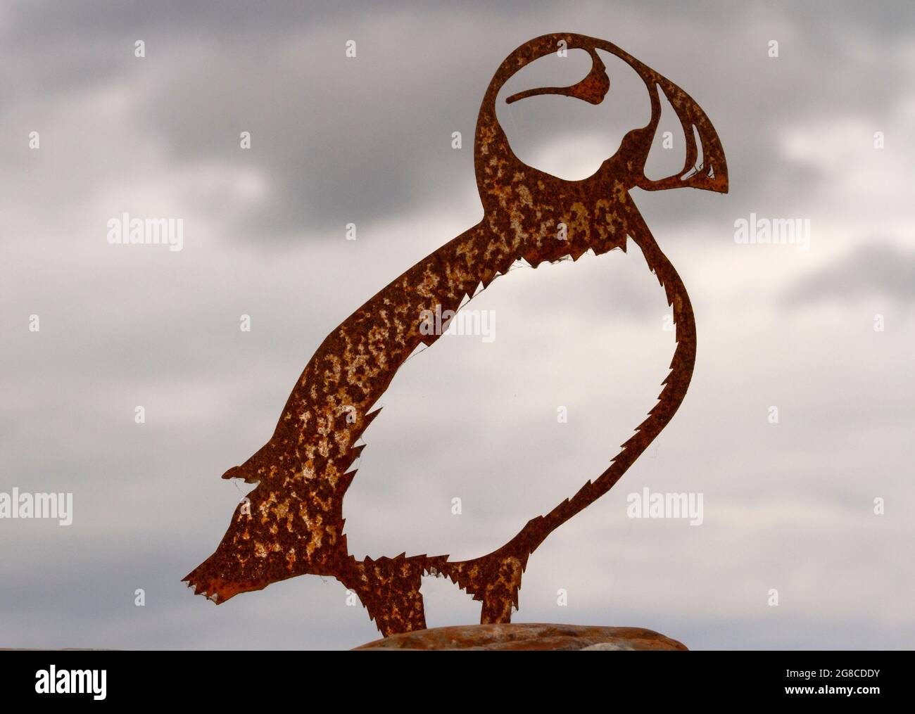 The Puffin is an iconic sea-bird that features in many types of artwork ...