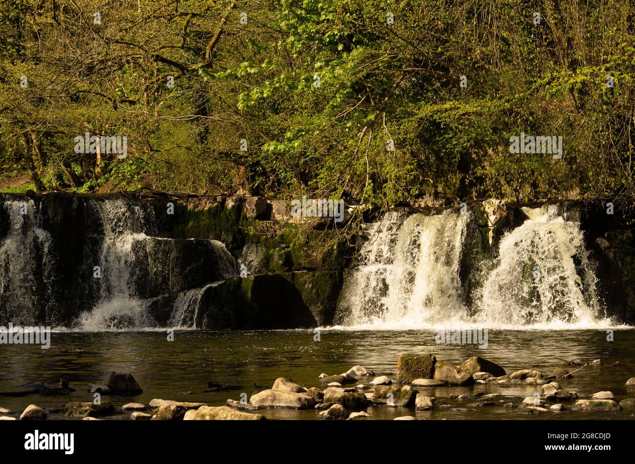 Linn Park Waterfall, Glasgow Stock Photo - Alamy