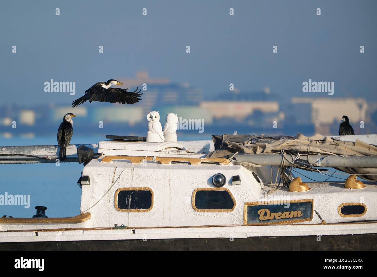 A Dream Landing Stock Photo - Alamy