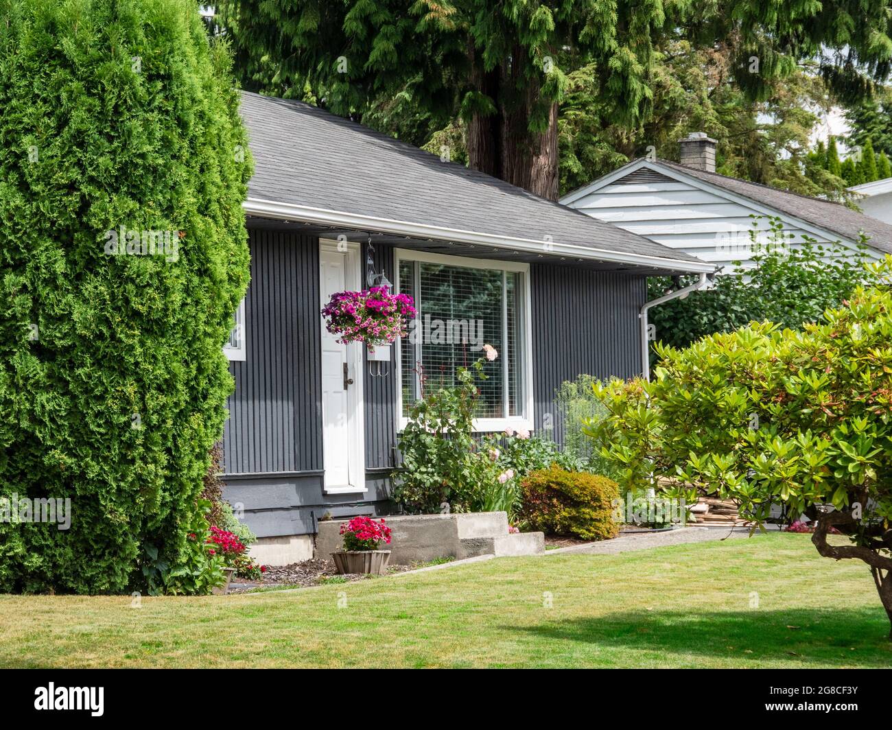 Main entrance and living room window of residential house green lawn in ...