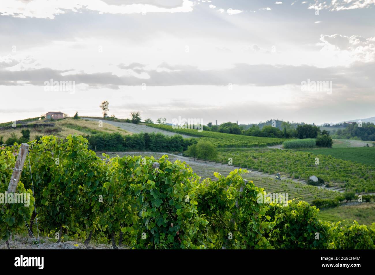 Monferrato piedmont italy panorama hi-res stock photography and images ...