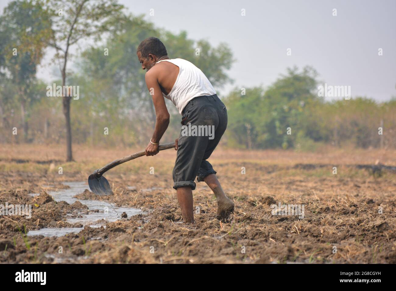 Indian farmer working in agriculture field Stock Photo - Alamy