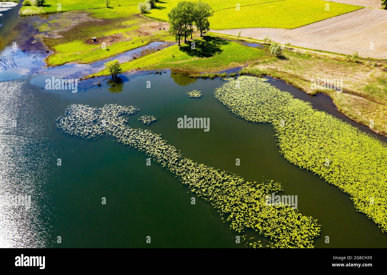 Countryside pond from above trees hi-res stock photography and images ...