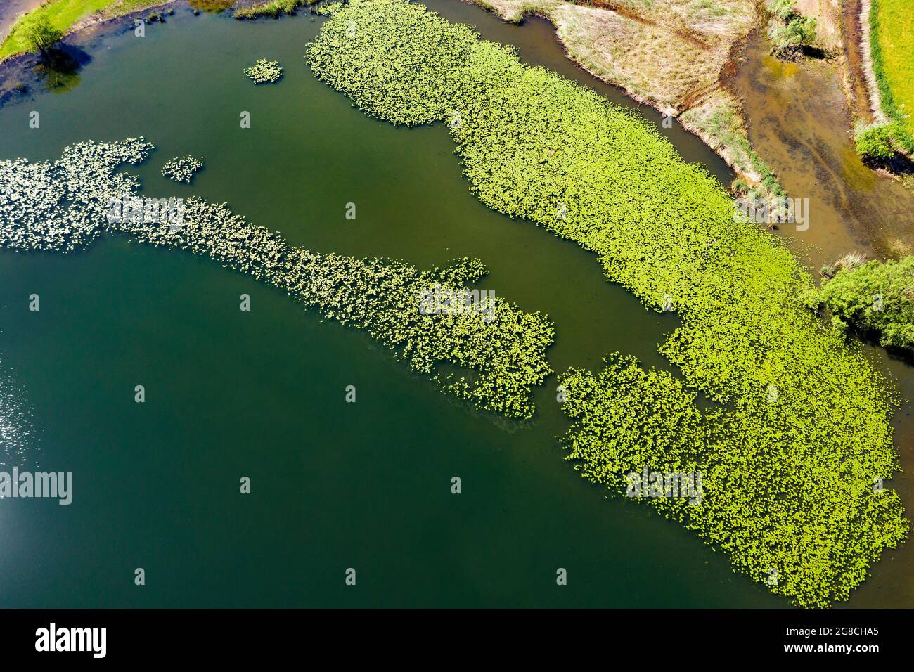 Aerial view of blue pond hi-res stock photography and images - Alamy
