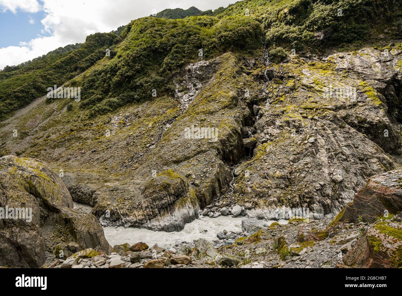 Beautiful scenery of Westland Tai Poutini National Park Waiho New ...