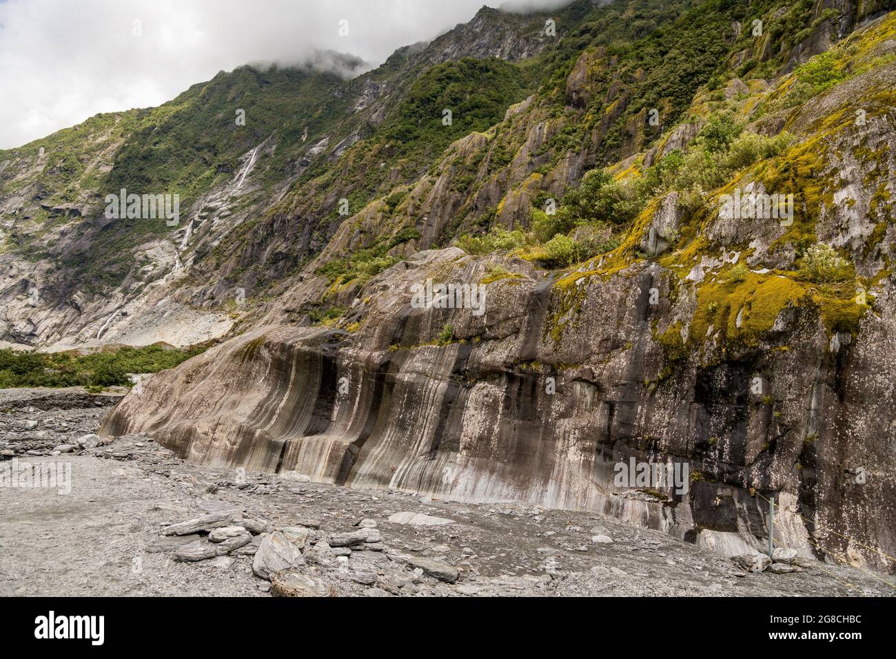 Beautiful scenery of Westland Tai Poutini National Park Waiho New ...
