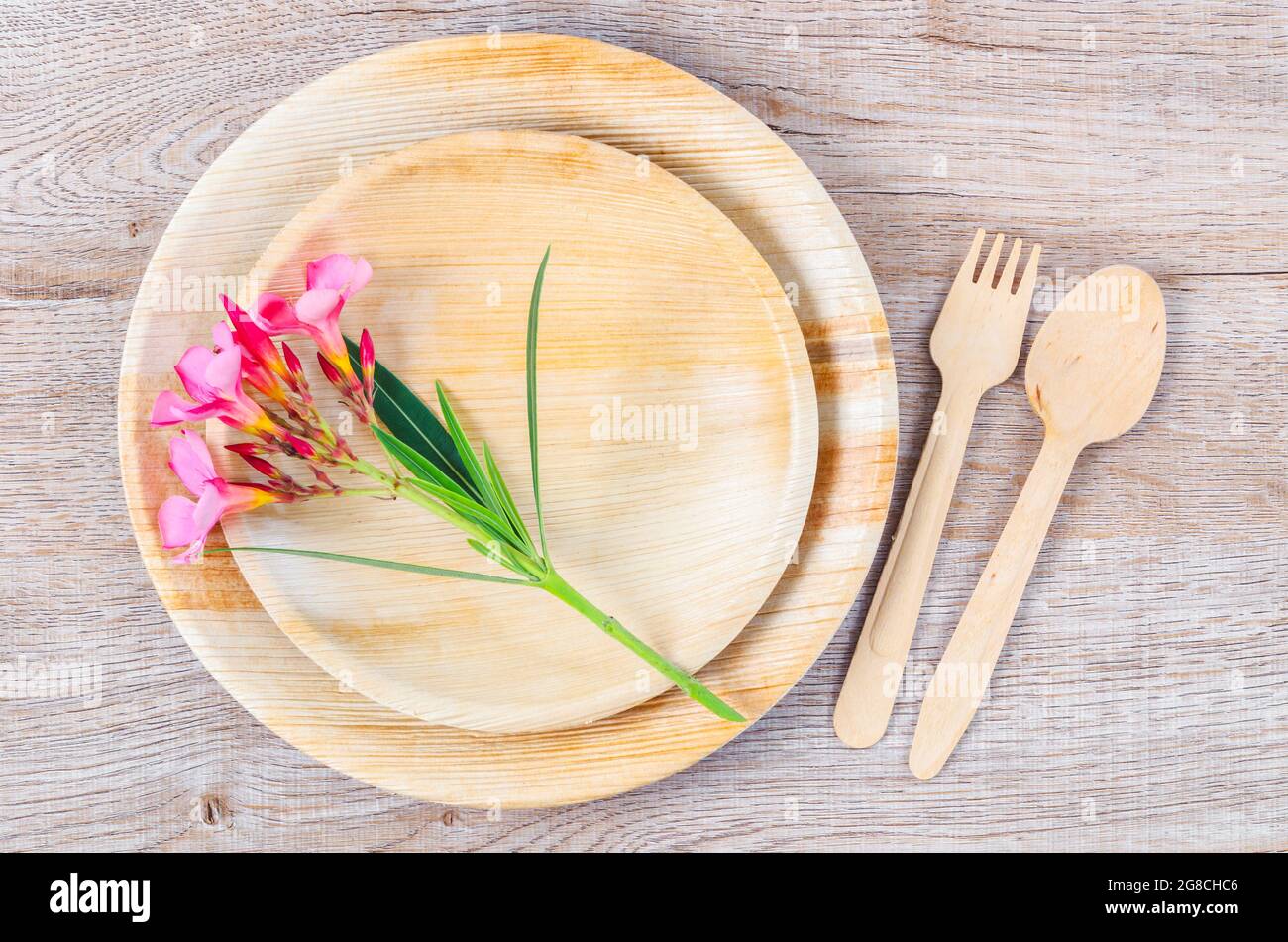 Kitchenware made from dried betel nut leaf palm, natural material. The ...