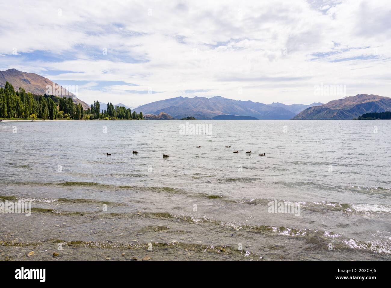 Beautiful scenery of New Zealand Stock Photo - Alamy