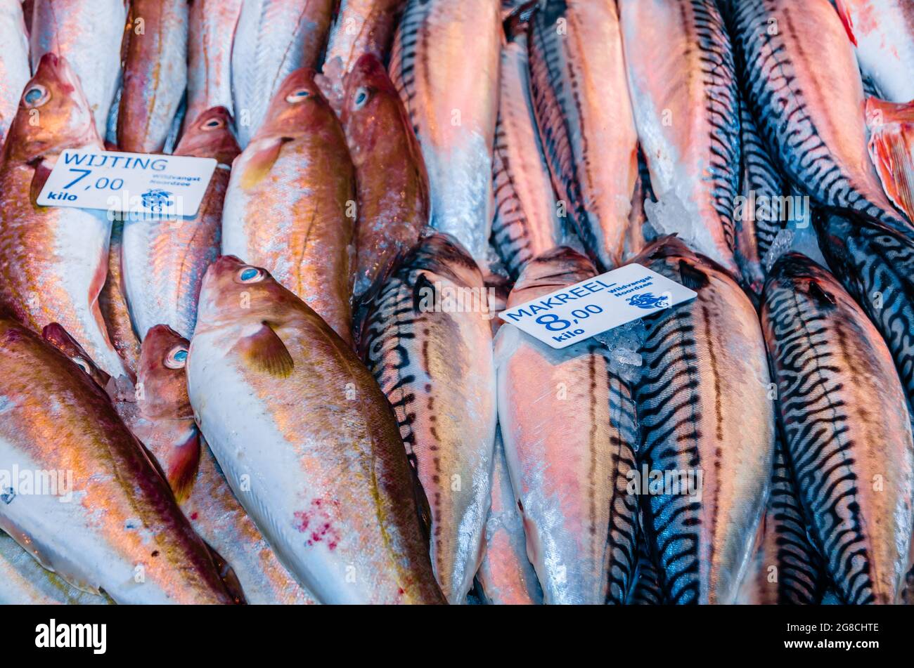 AMSTERDAM, THE NETHERLANDS - NOVEMBER 17, 2018: Fresh fish stall in the ...