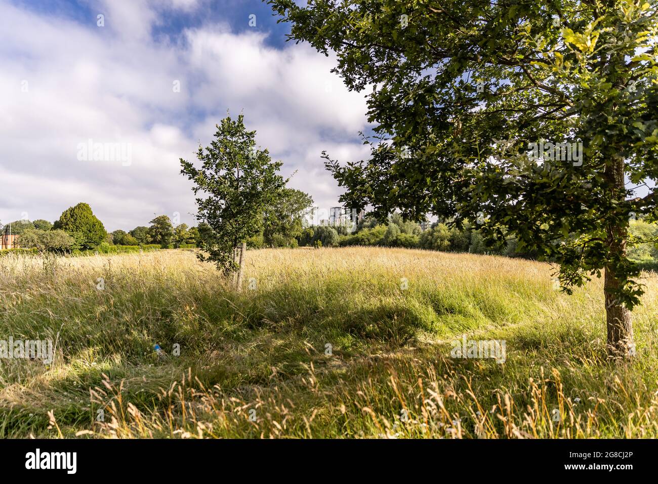 Sutcliffe park kidbrooke hi-res stock photography and images - Alamy
