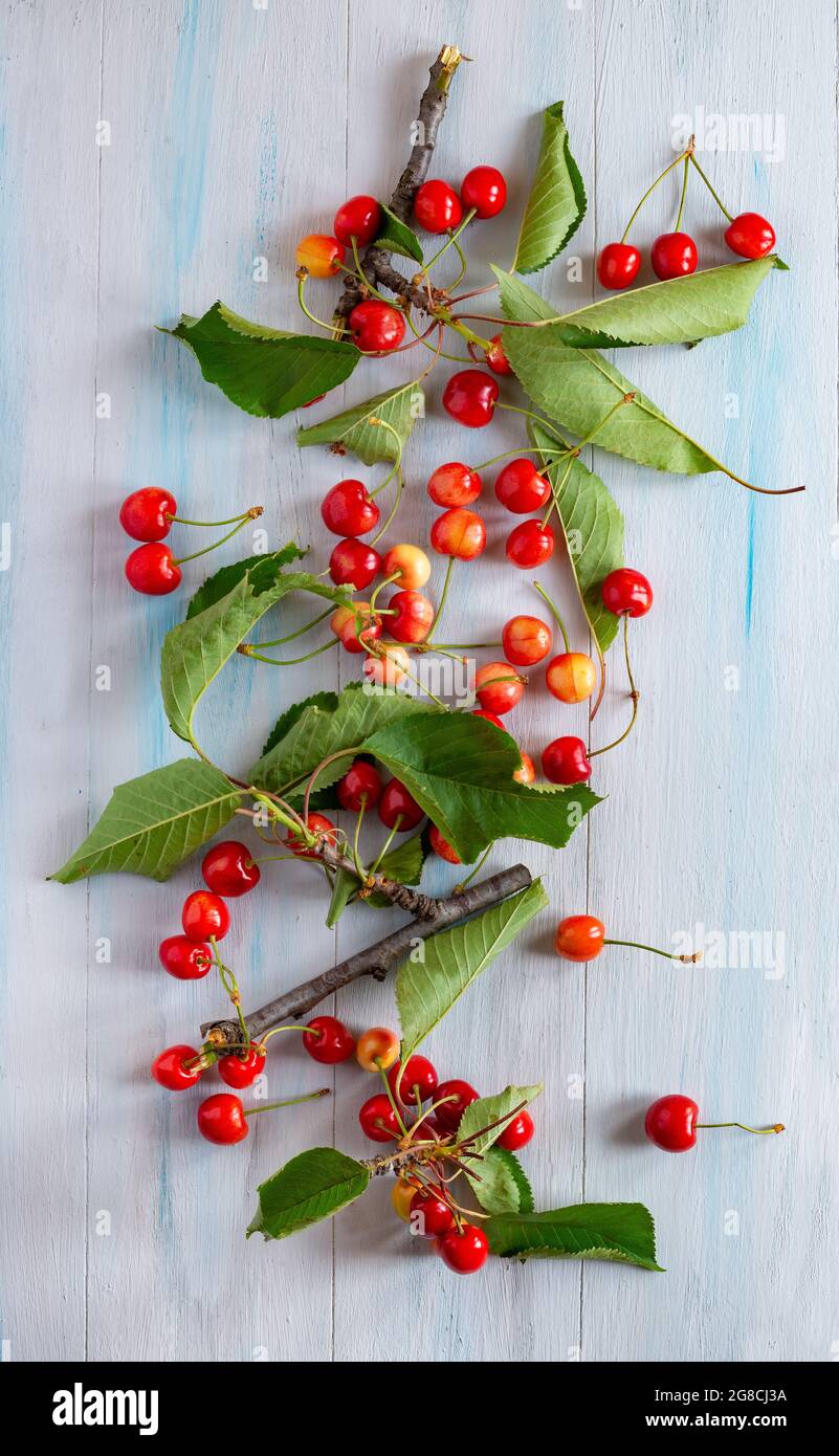 red cherries food background art Stock Photo - Alamy