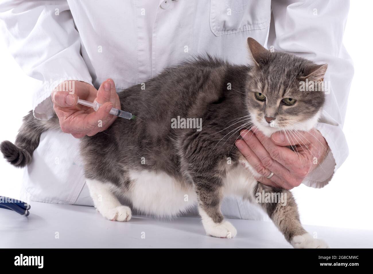 Cat getting injection hi-res stock photography and images - Alamy