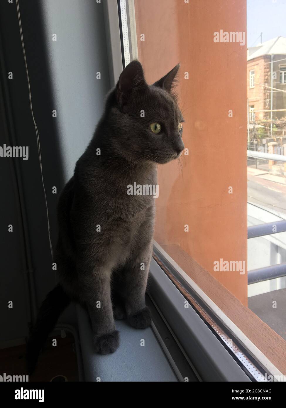 YEREVAN, ARMENIA - Apr 01, 2021: Cool young lady with blue hair ...