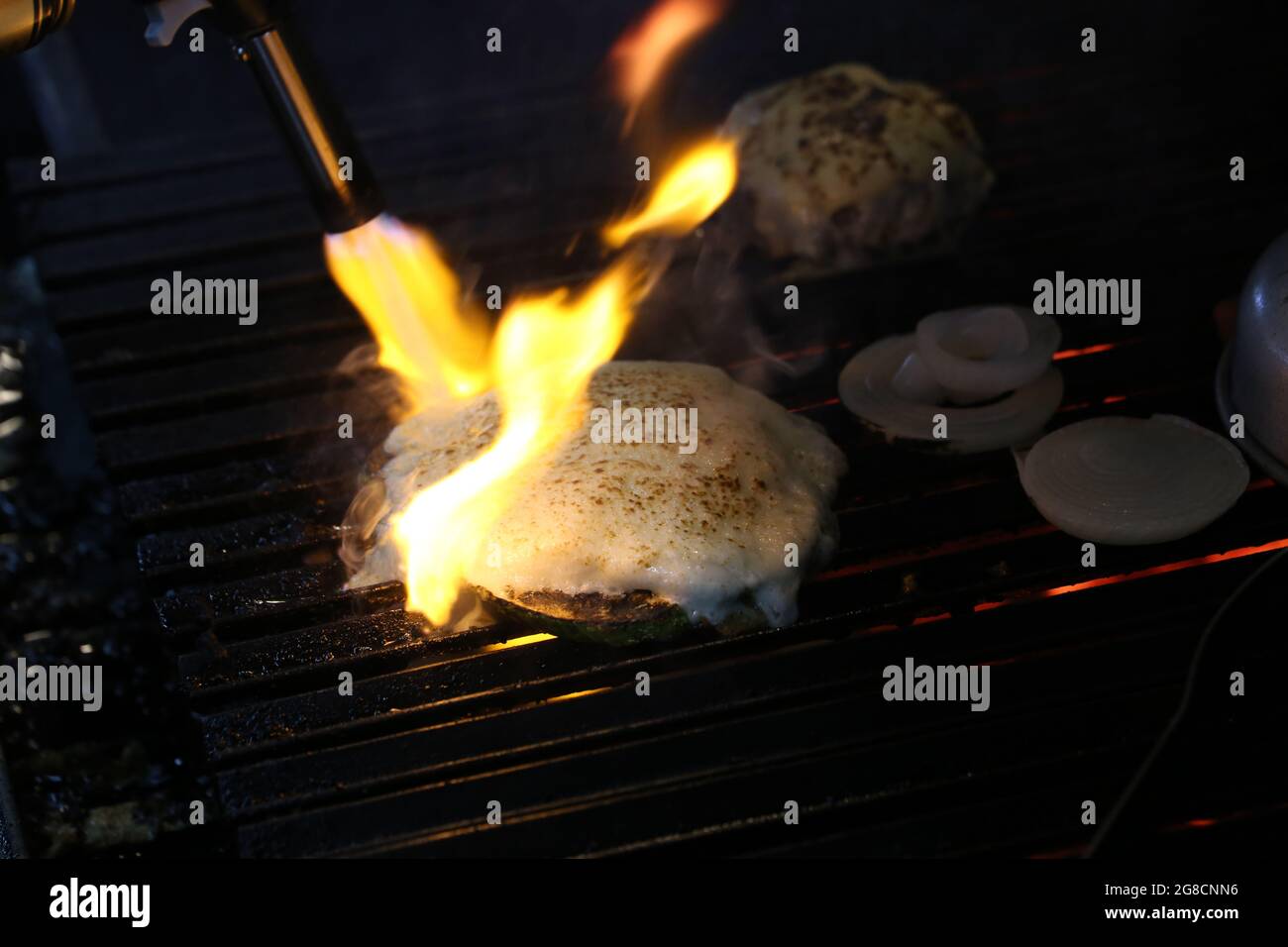 Ox termite hi-res stock photography and images - Alamy