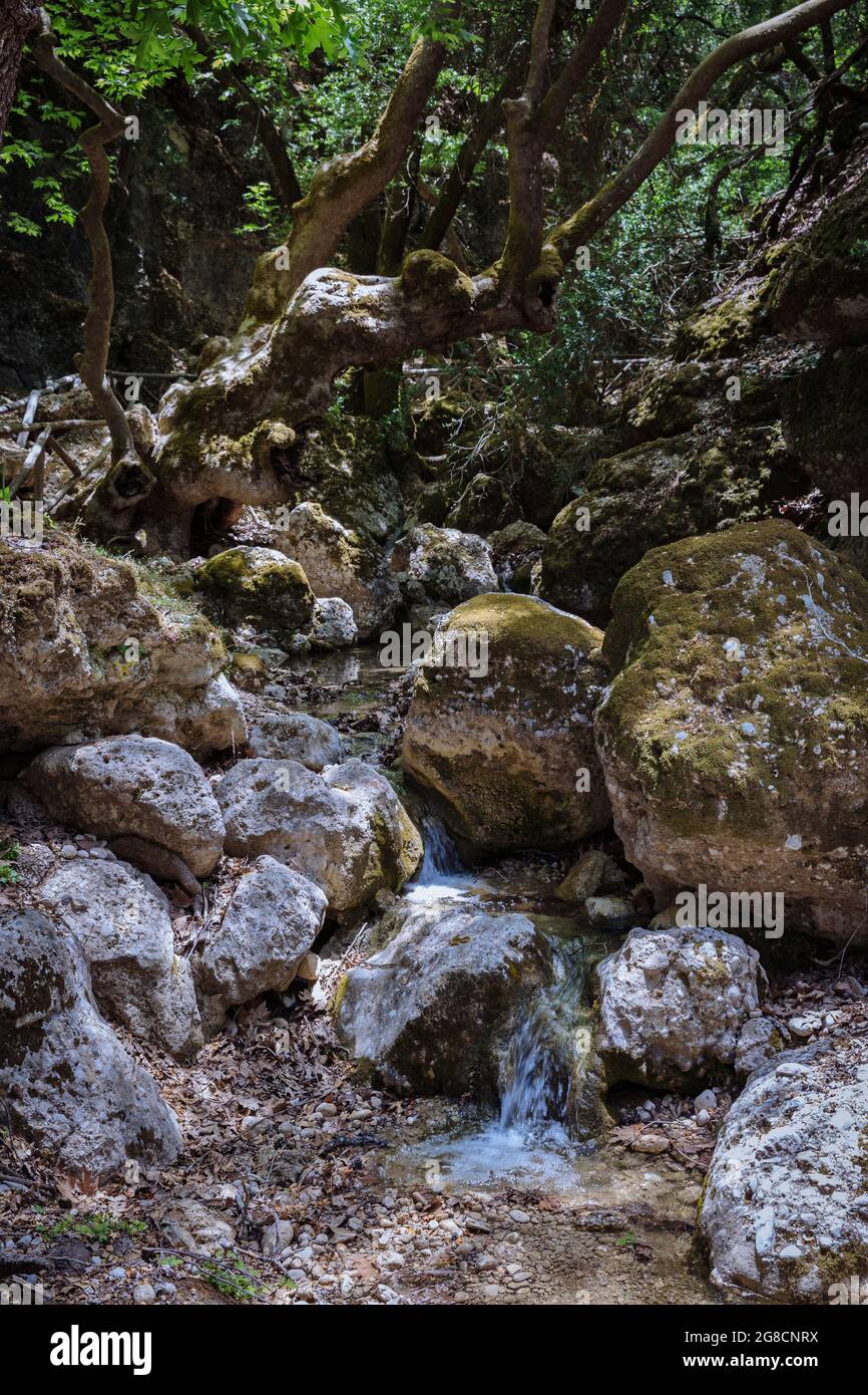 Valley of the butterflies rhodes hi-res stock photography and images ...