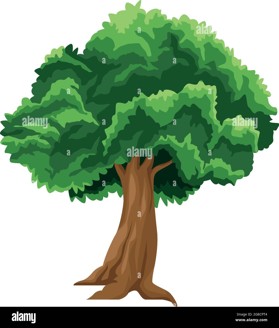 tree plant icon Stock Vector Image & Art - Alamy