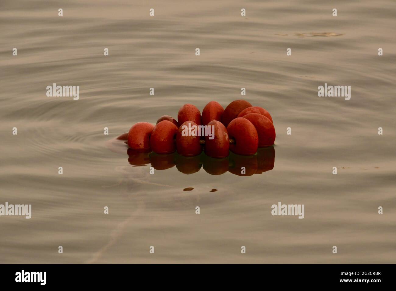 Buoy with red and oval wooden balls Stock Photo - Alamy