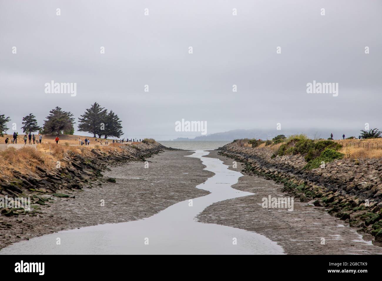 The dog park at Point Isabel Regional Shoreline in Richmond, California ...