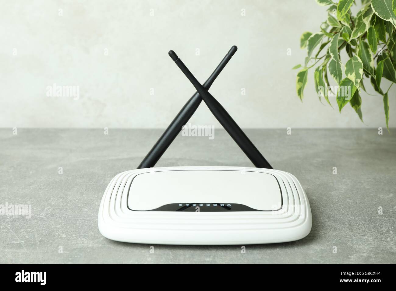 Wi-Fi router and plant on gray textured table Stock Photo - Alamy