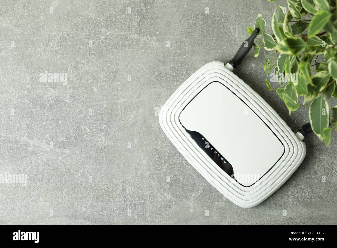Wi-Fi router and plant on gray textured table Stock Photo - Alamy