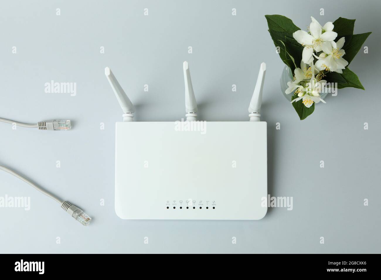 Wi-Fi router and flowers on gray background Stock Photo - Alamy