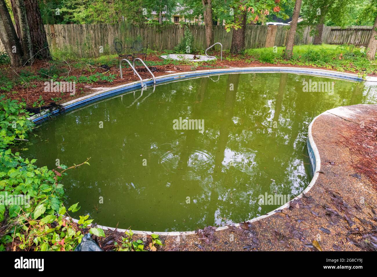 Ruined swimming pool with green water Stock Photo - Alamy