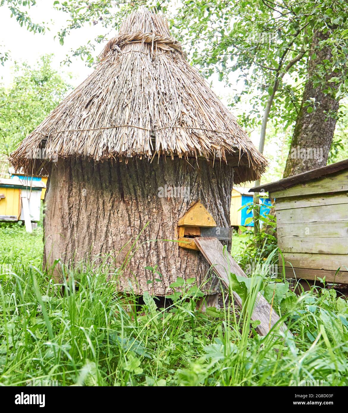 Beehives in an apiary outdoors Stock Photo - Alamy