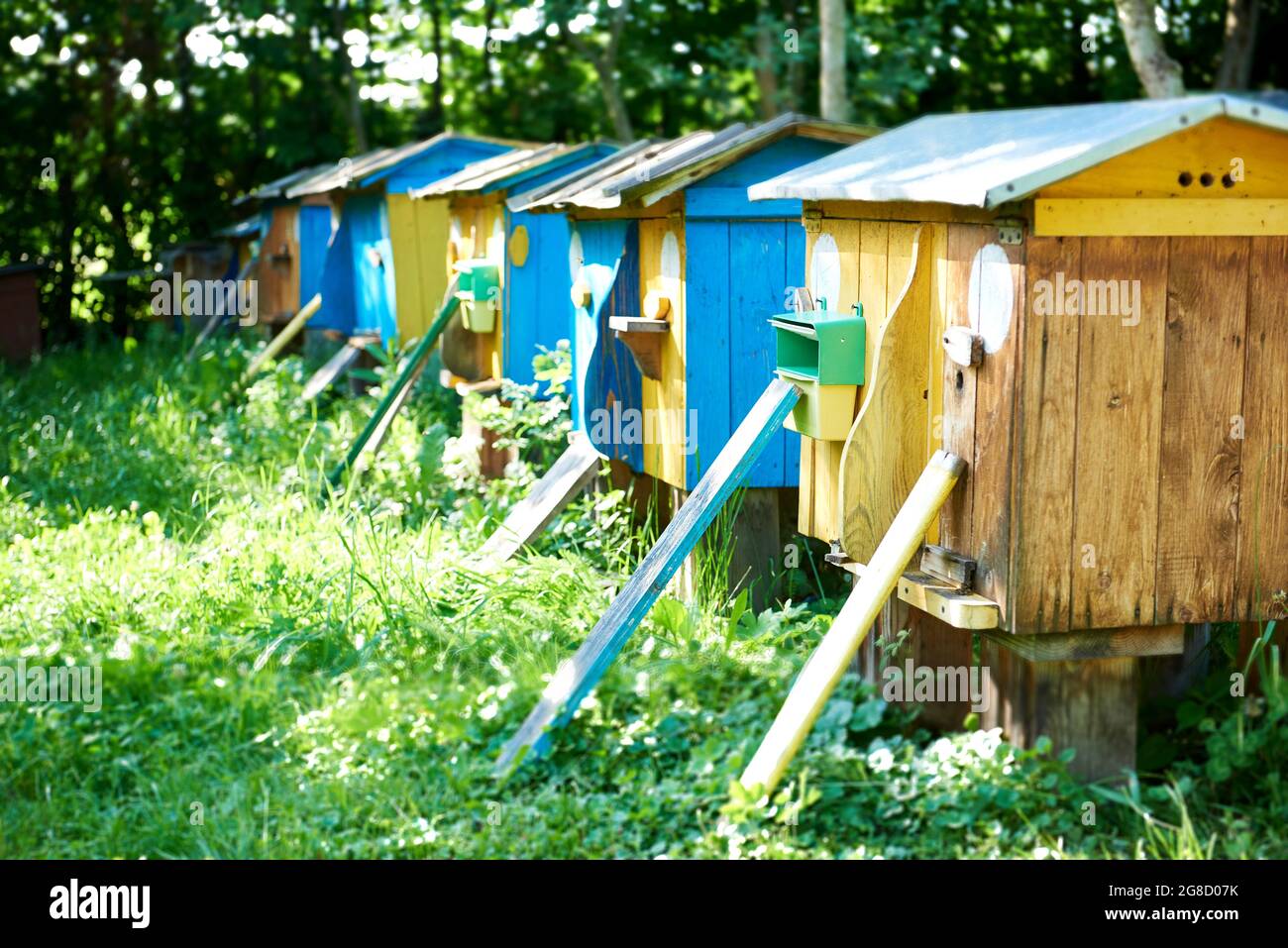 Beehives in an apiary outdoors Stock Photo - Alamy