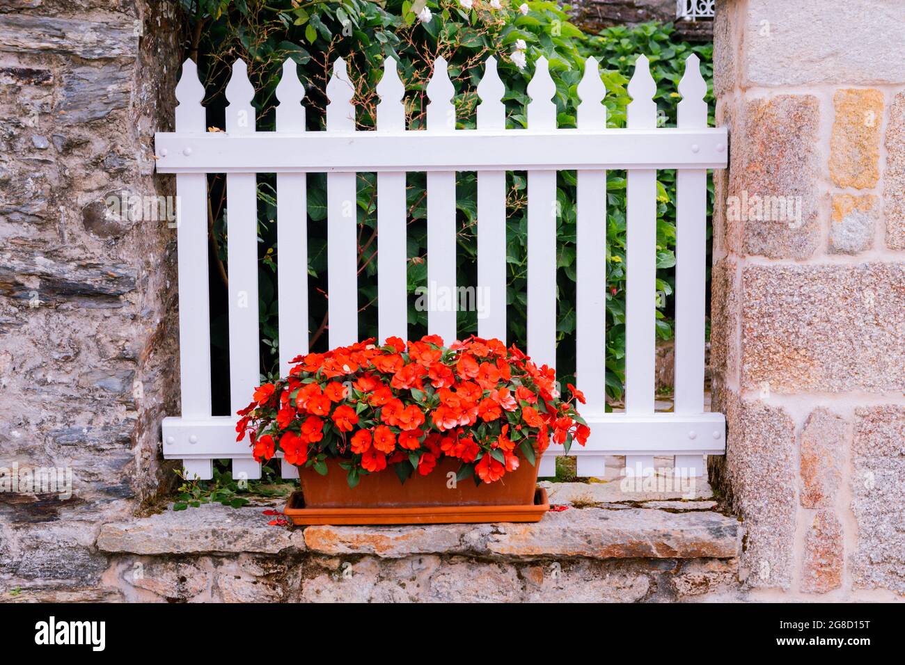 Spanish Small Fences Vertical Gardens For Small Spaces | Stuff