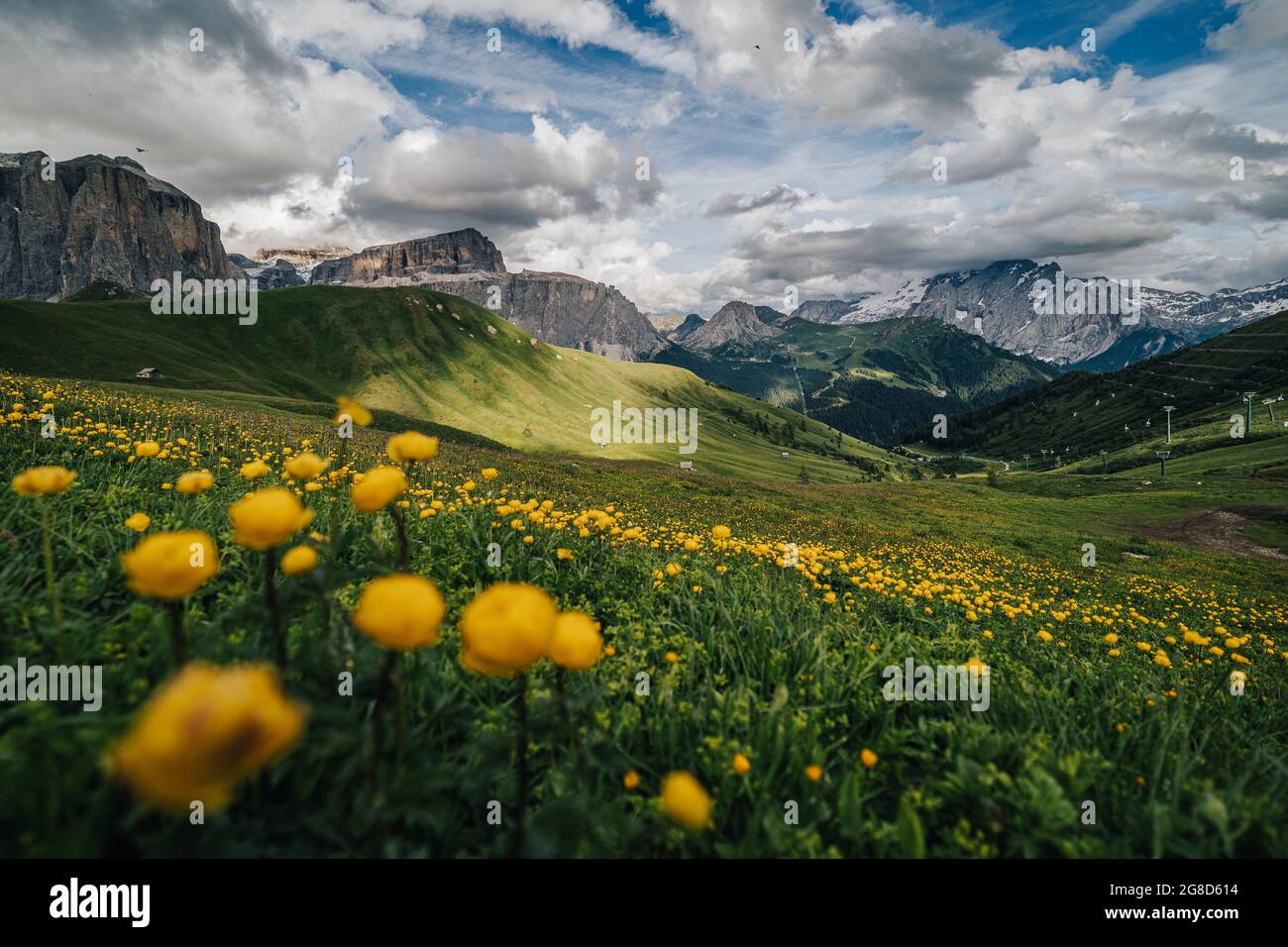 Alpine meadow and Sella group in Dolomites, Italy Stock Photo - Alamy
