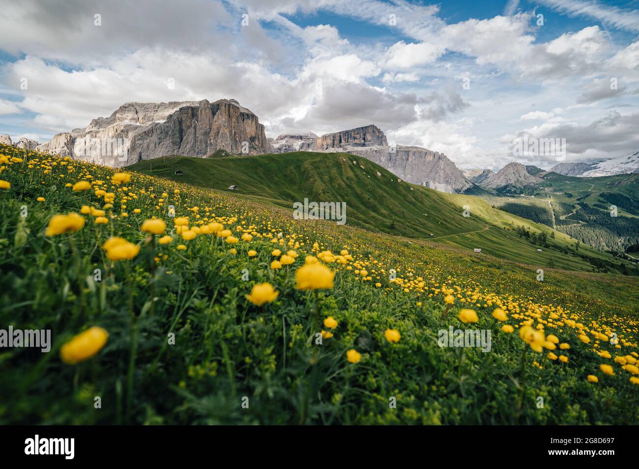 Alpine meadow and Sella group in Dolomites, Italy Stock Photo - Alamy