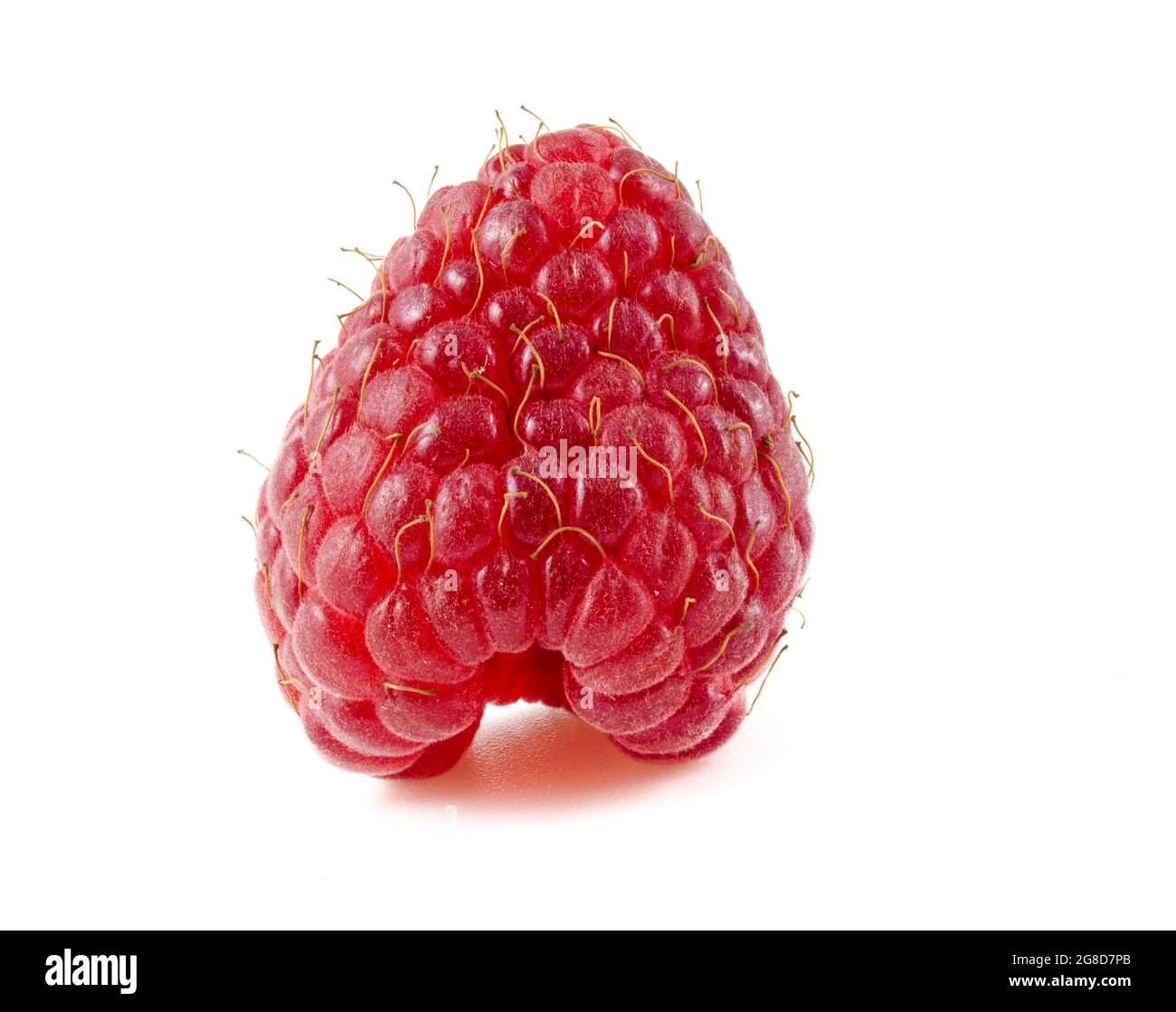 Isolated one raspberry berry on white background Stock Photo - Alamy
