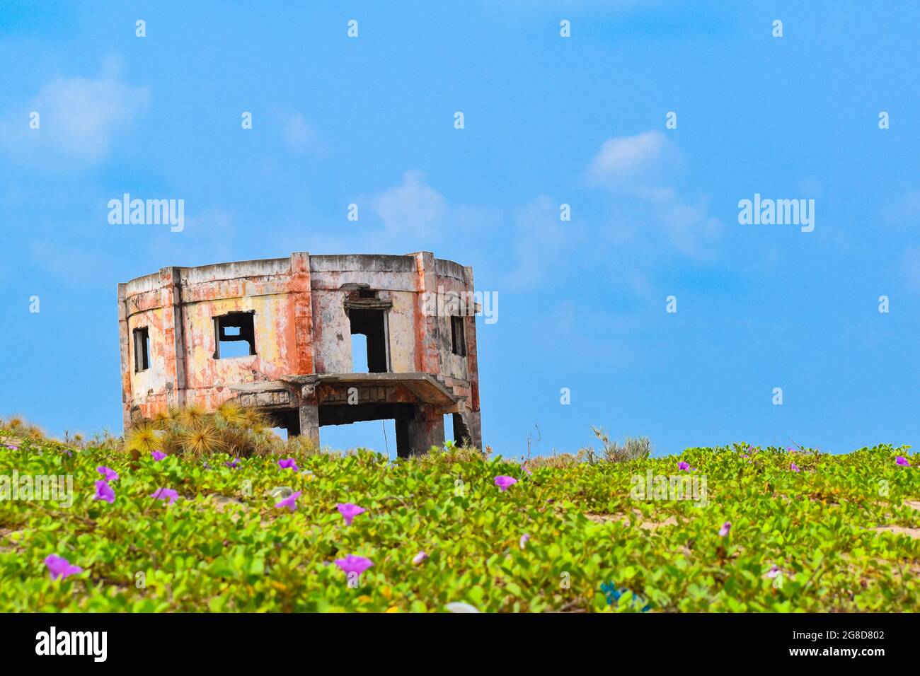 Cartoon Illustration Boy Building Sand High Resolution Stock ...