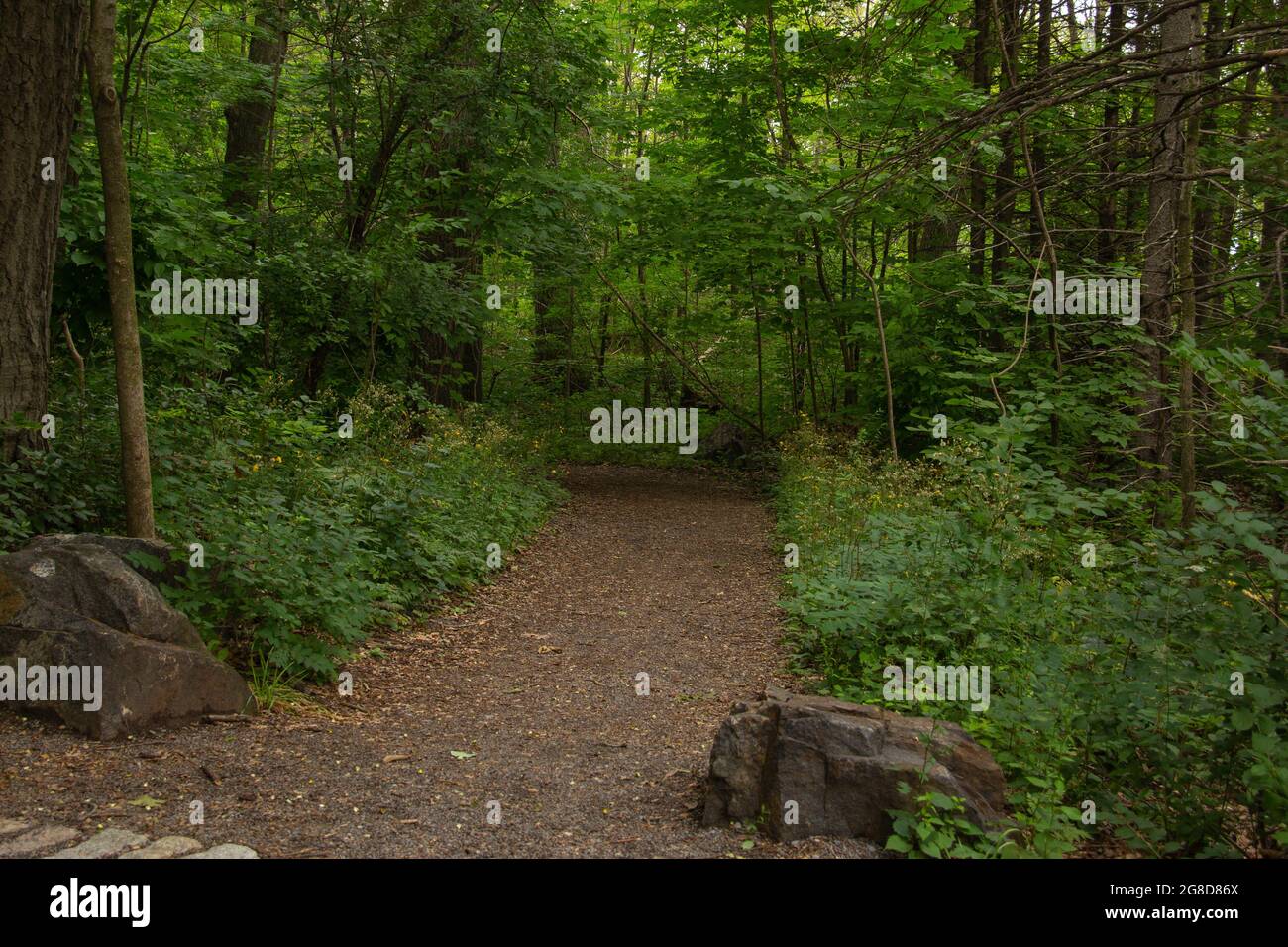 Dirt footpath alley in hi-res stock photography and images - Alamy