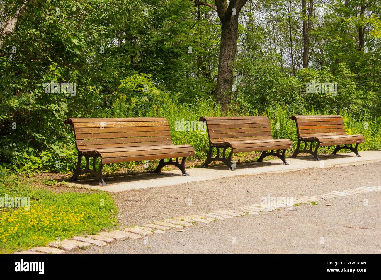 Three wooden park benches Stock Photo - Alamy