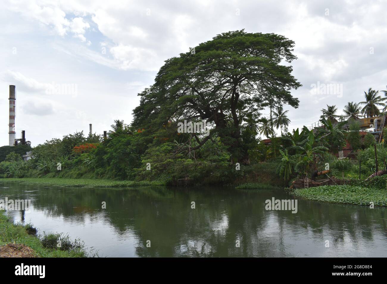 Nature background view near Book factory, Andhra Pradesh, india. Nature ...