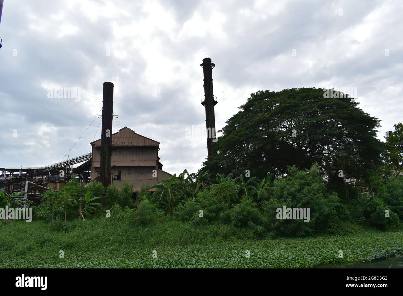 Back side View of Books Factory. Large Missions and Exterior view of ...