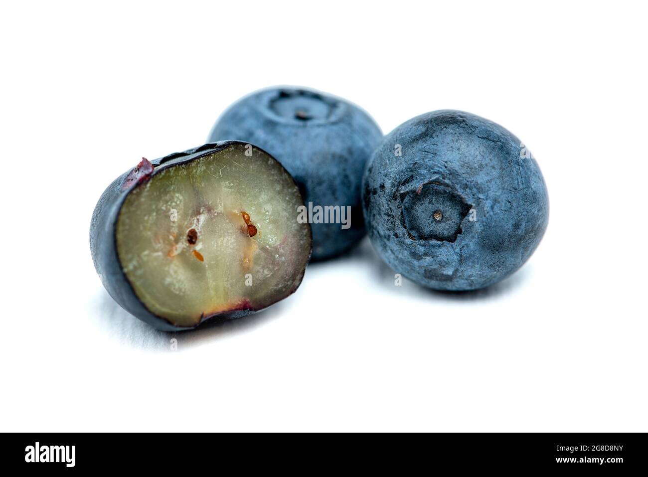 Blueberry isolate on white. Three blueberries on a white background ...
