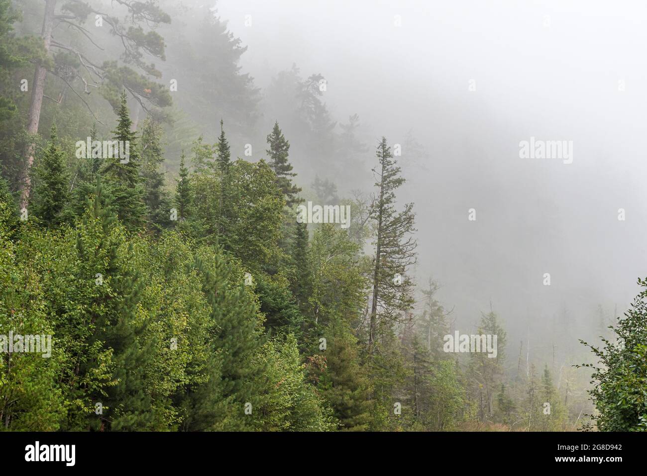 Strong fog on forest hills near Superior Lake, canada Stock Photo - Alamy