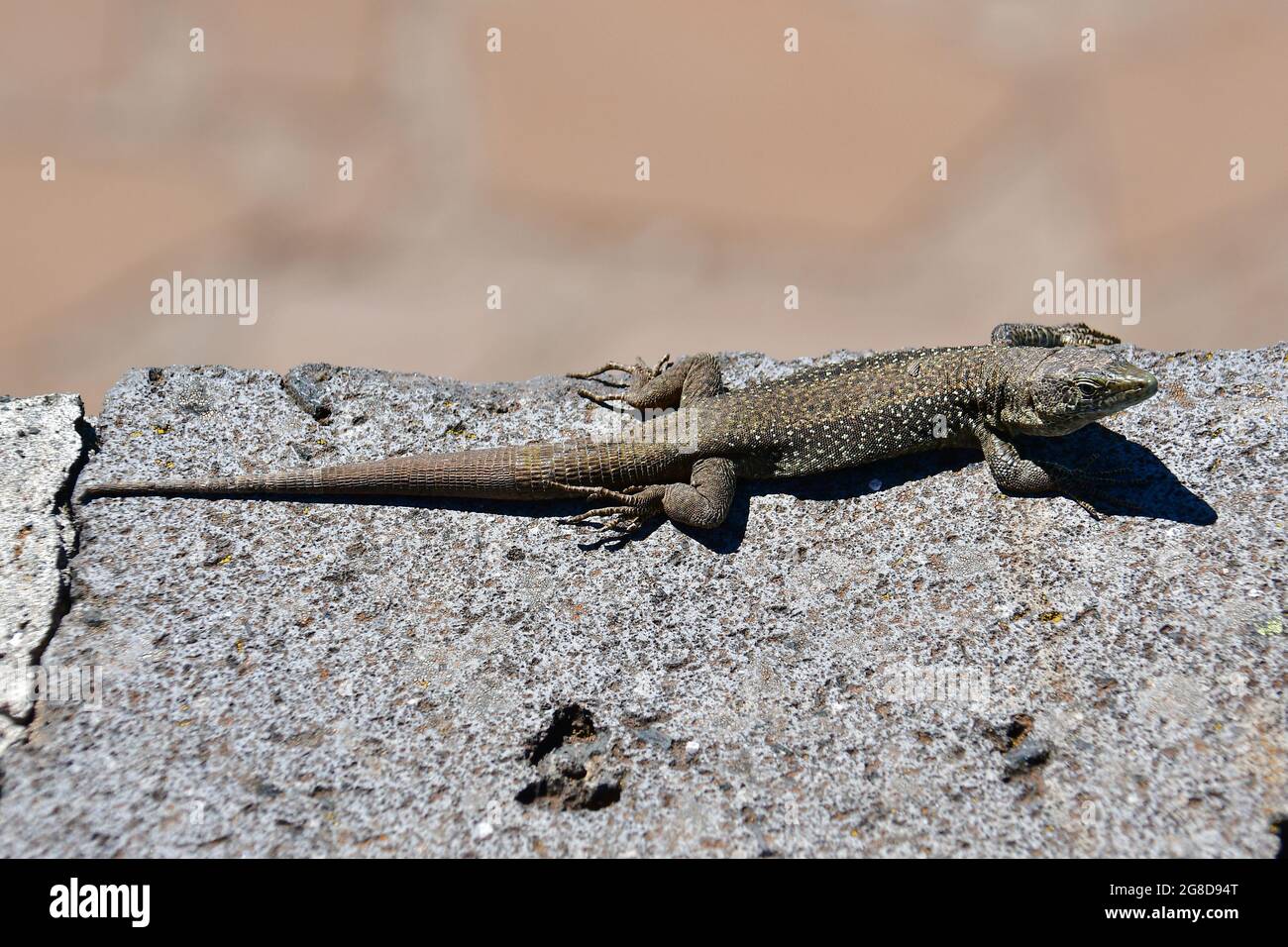 Lat 32 73557900 hi-res stock photography and images - Alamy