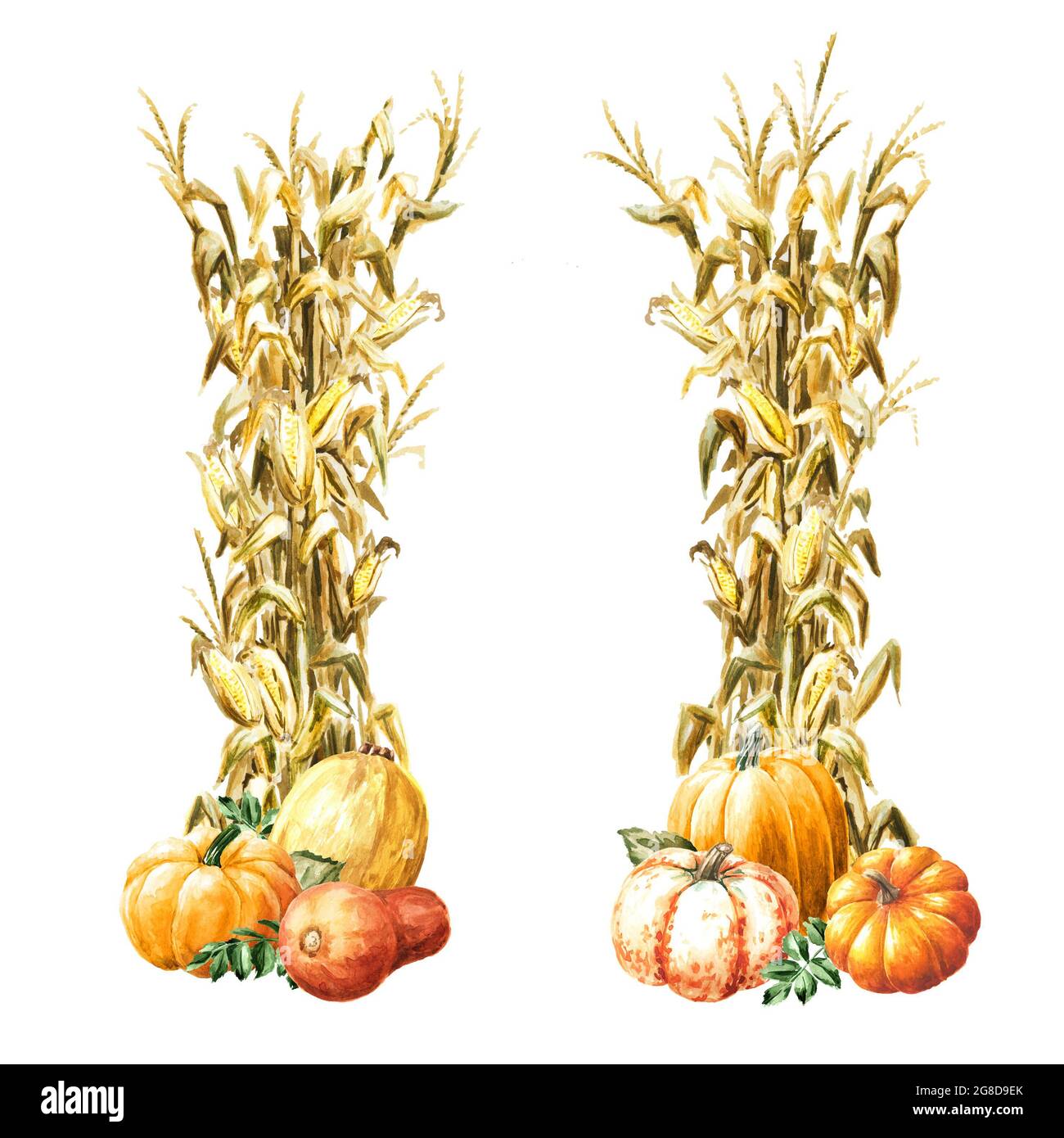 Fall Corn Stalk Clip Art