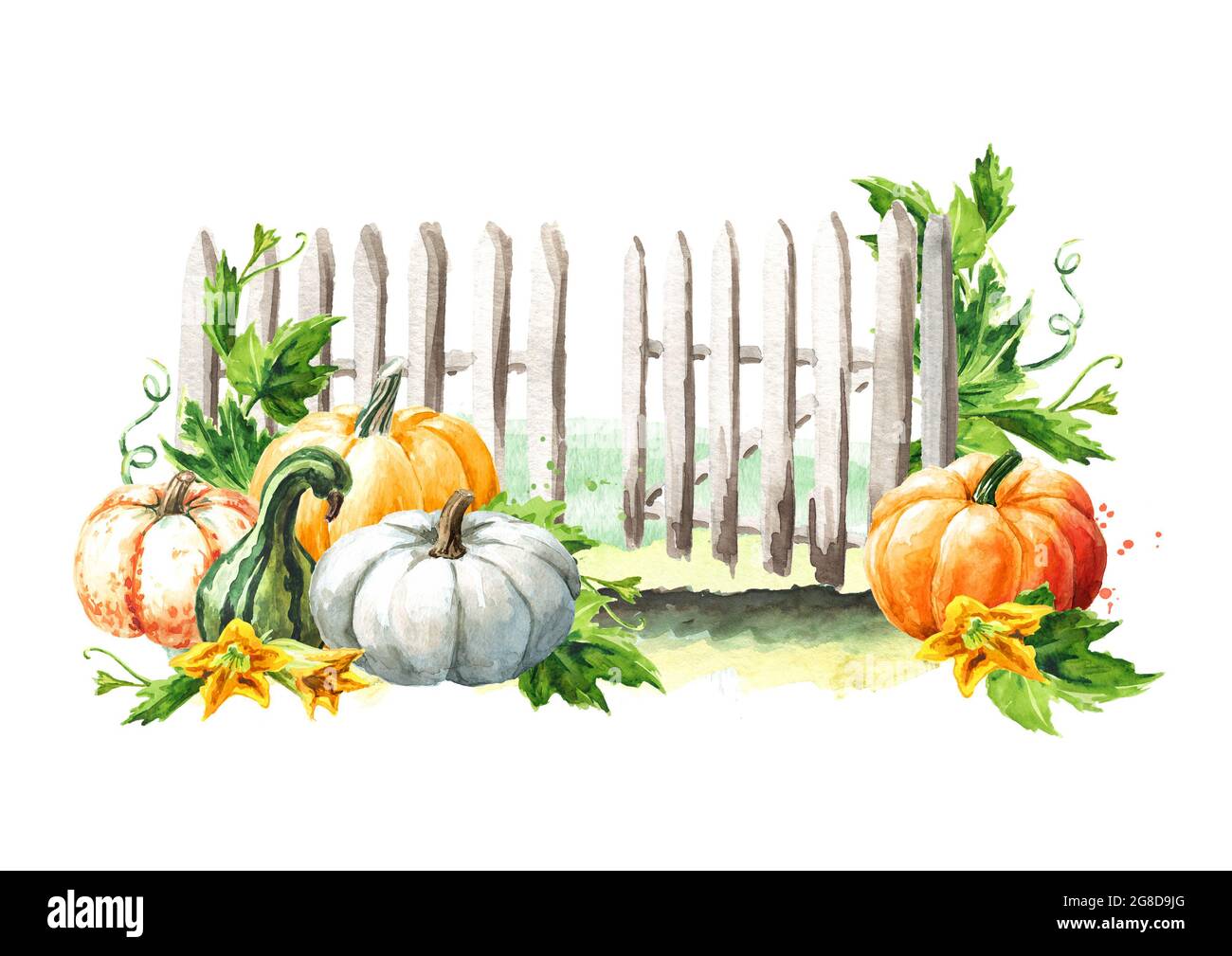 Happy Thanksgiving card with pumpkins harvest. Hand drawn watercolor ...