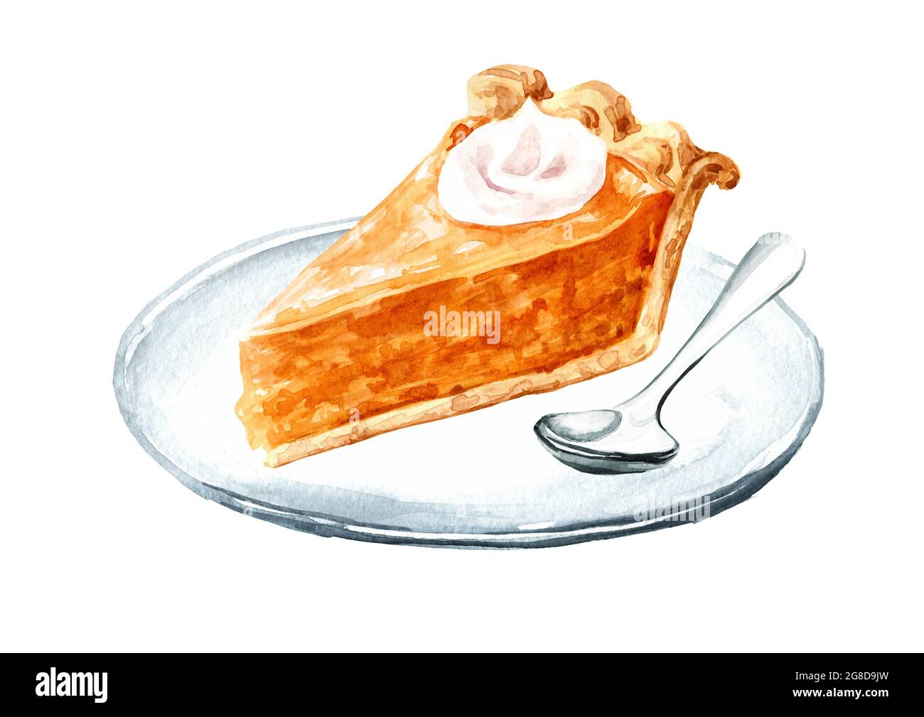 Slice or piece of american pumpkin pie. Hand drawn watercolor ...