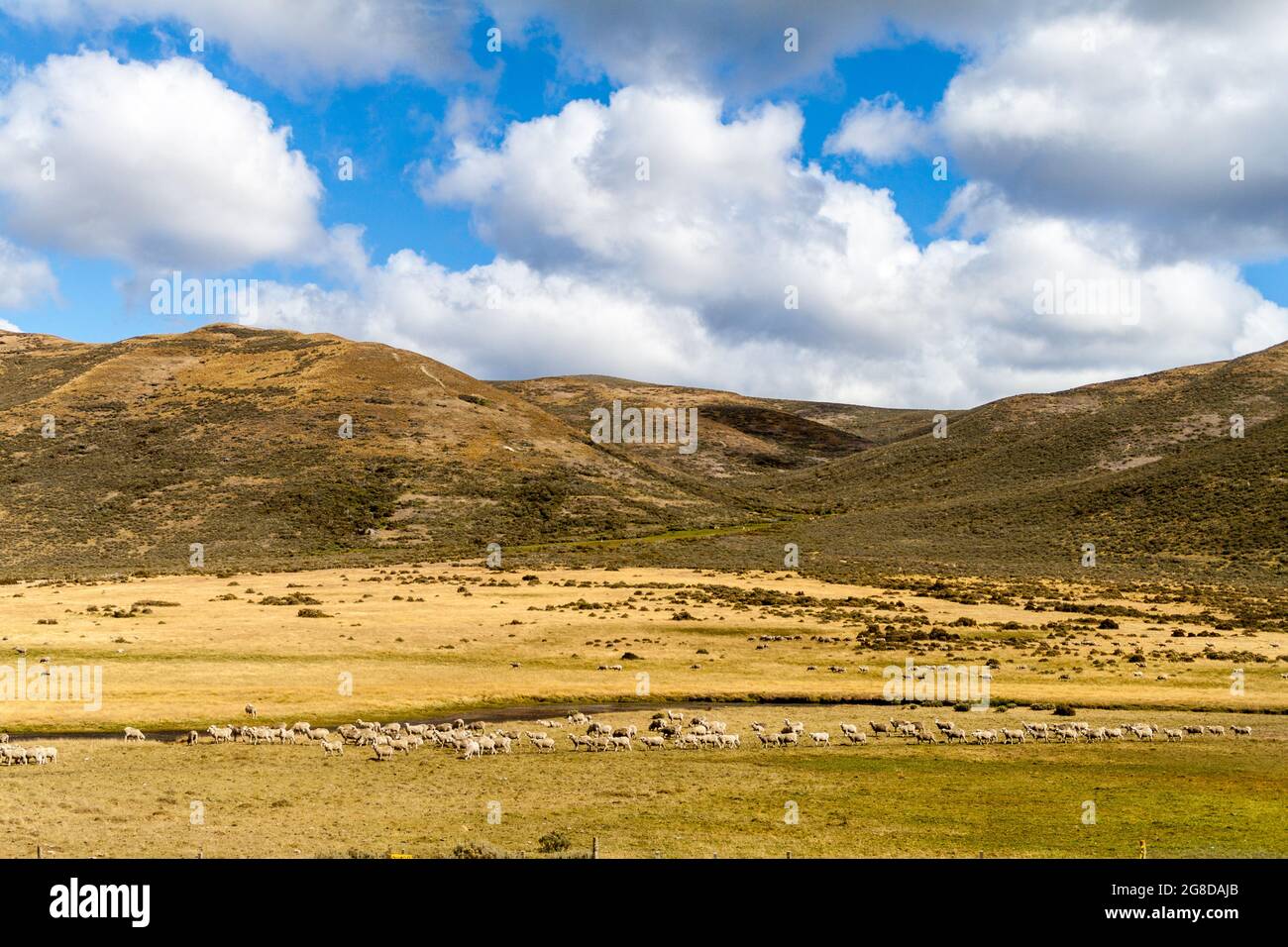 Countryside of Tierra del Fuego island, Chile Stock Photo - Alamy