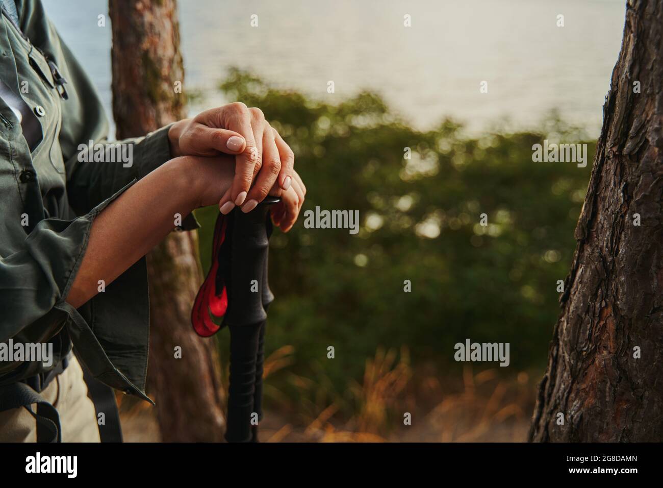 Adult folding her hands on telescoping walking poles Stock Photo - Alamy