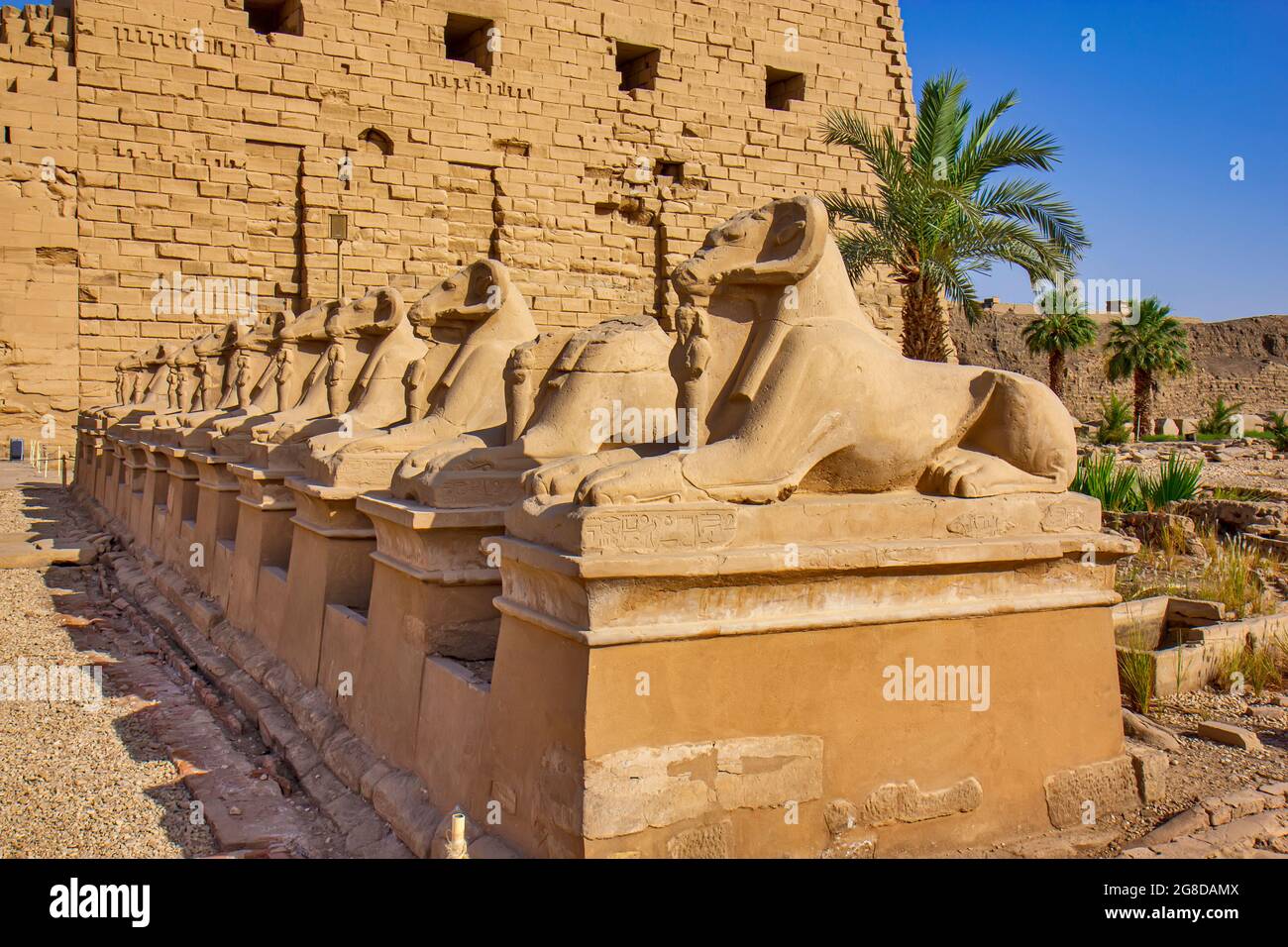 Ram-headed sphinx statues at Karnak, Egypt Stock Photo - Alamy