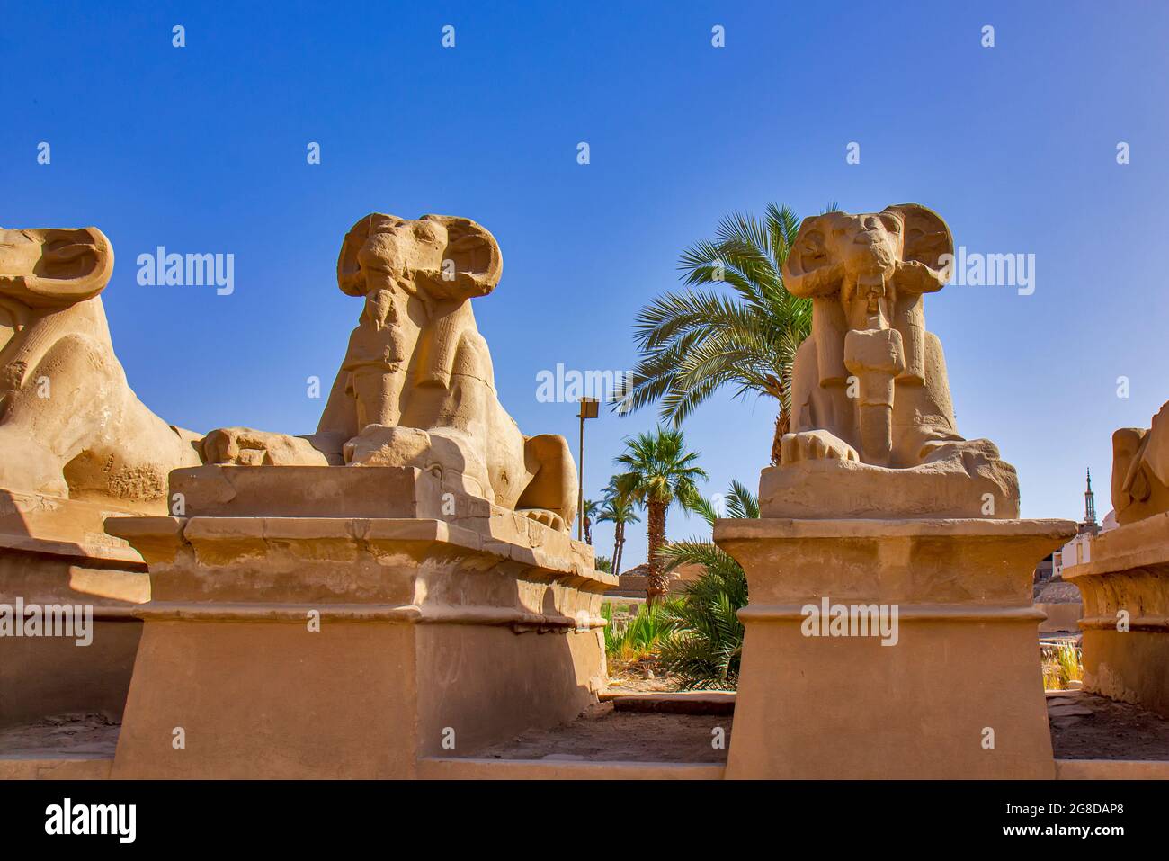 Ram headed sphinx statues hi-res stock photography and images - Alamy